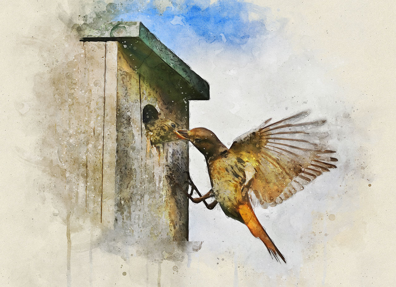 Feedbin feedreader | I Make Things Work